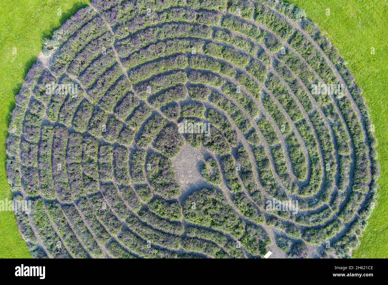 aerial view of the lavender labyrinth in the botanical garden of the ...
