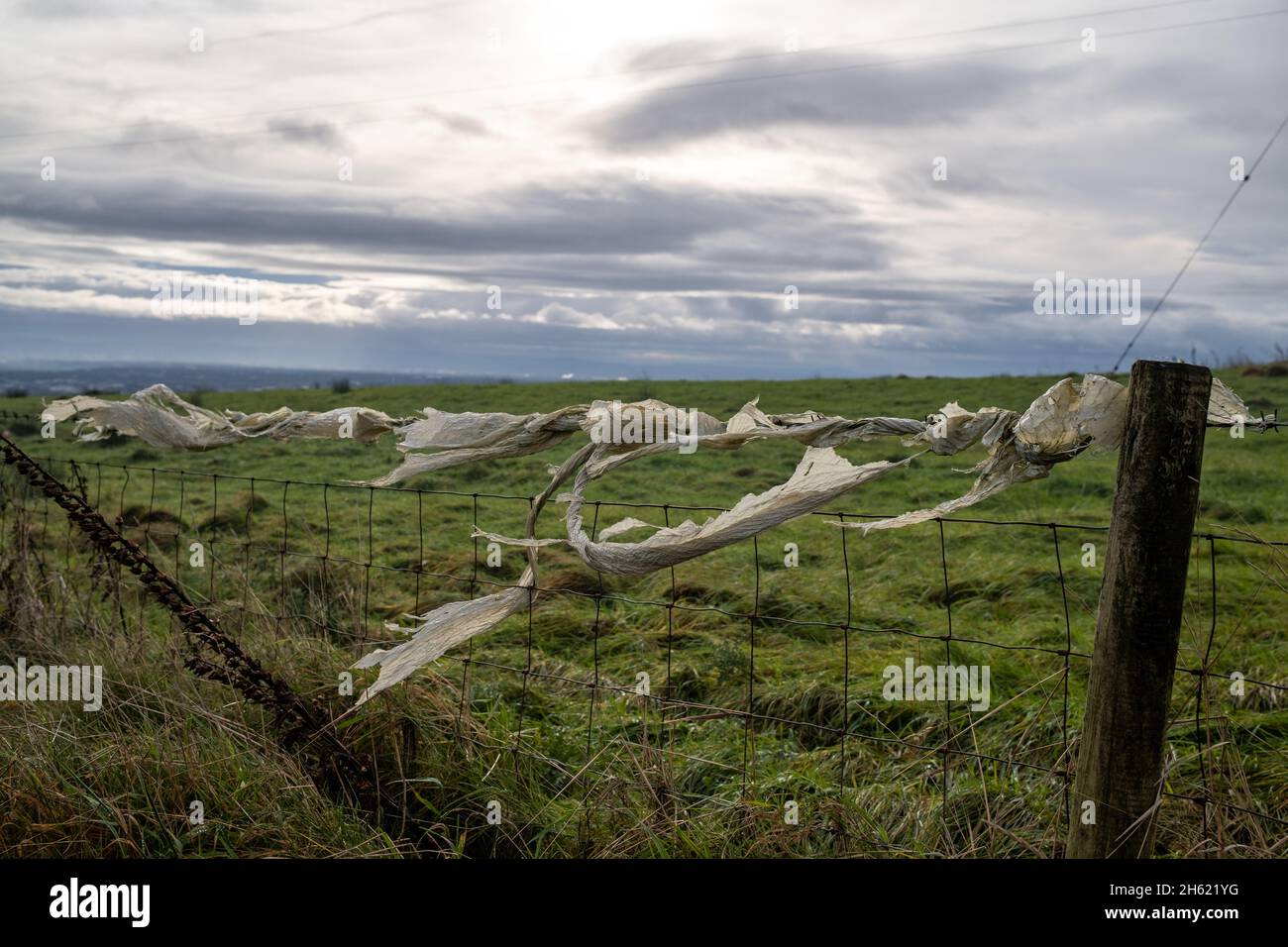 plastic waste litter caught on wire fence in the countryside Stock ...