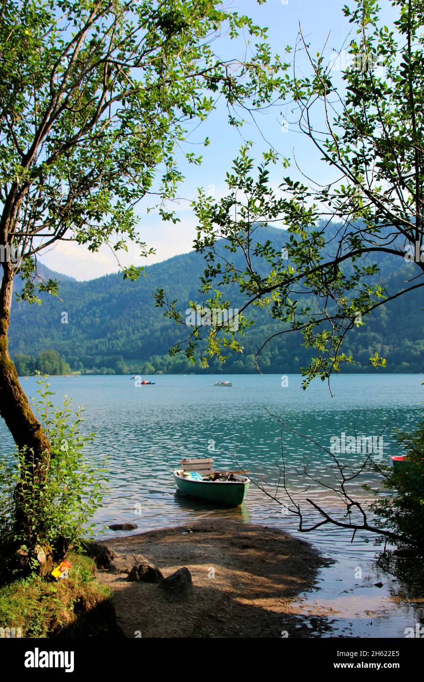 germany,bavaria,wendelstein region,schliersee,shore,rowing boat,trees ...