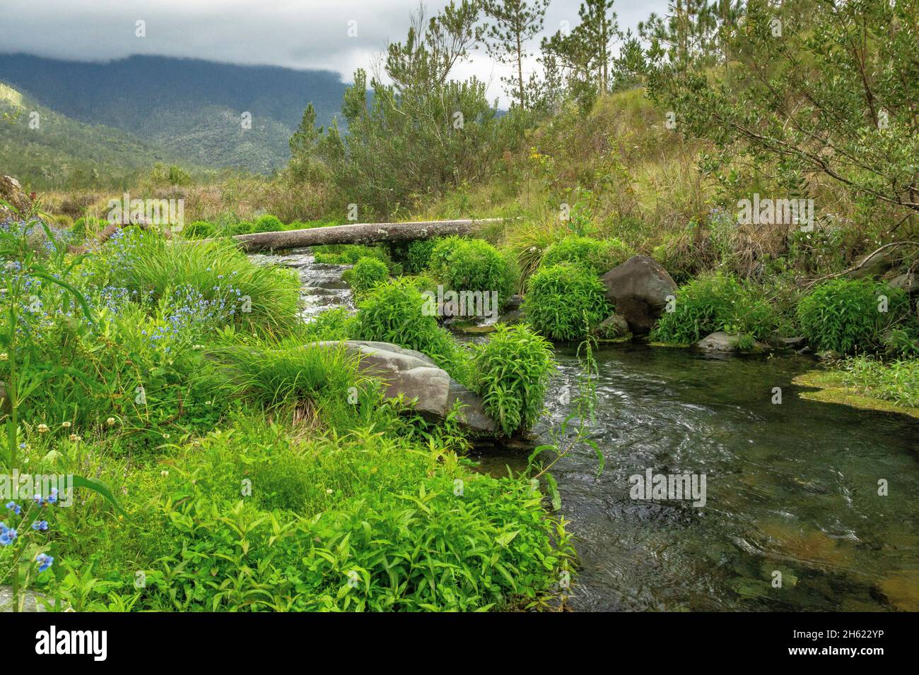 Dominican republic landscape hi-res stock photography and images - Alamy