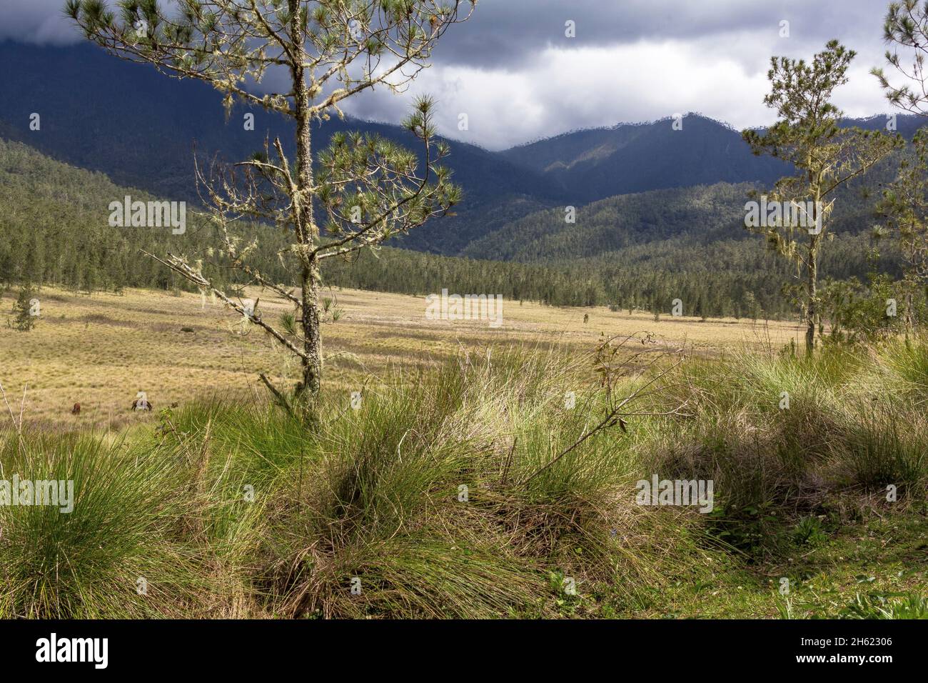 Dominican republic landscape hi-res stock photography and images - Alamy
