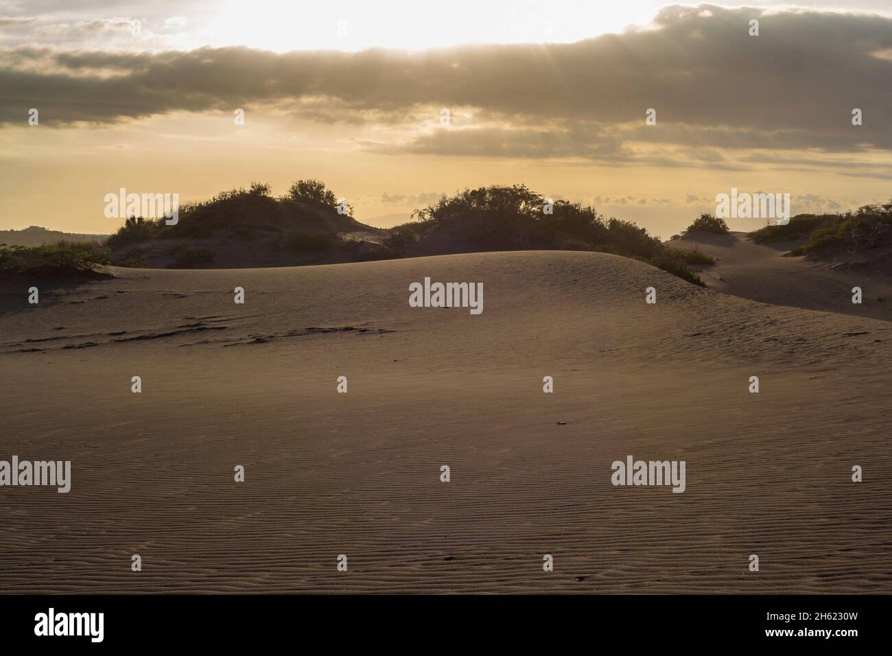 north america,caribbean,dominican republic,peravia province,bani,las ...