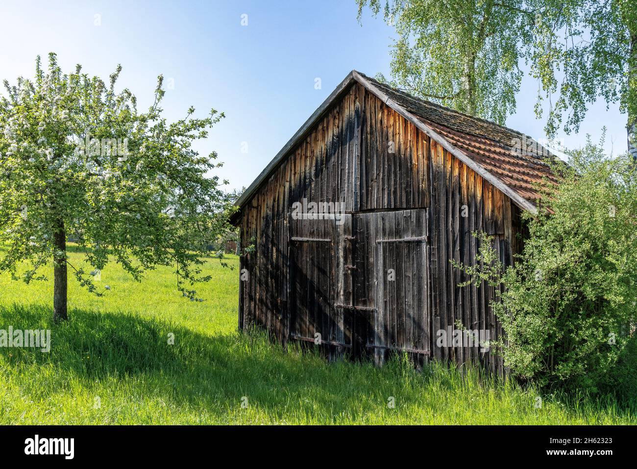 Old wooden shed on a spring meadow hi-res stock photography and images ...