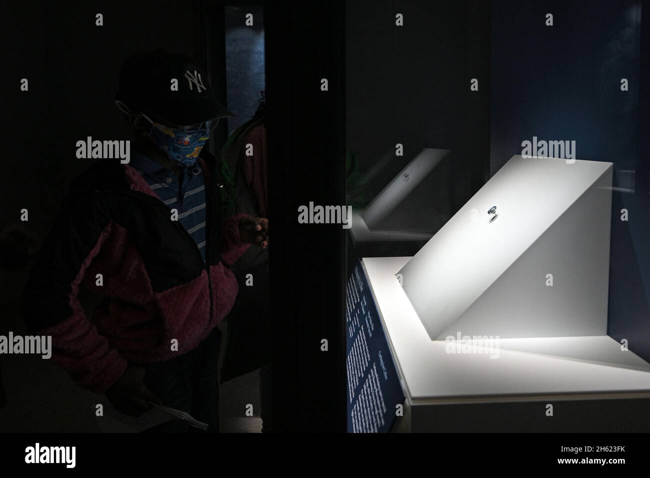 New York, USA. 12th Nov, 2021. A museum visitor looks at the nearly ...