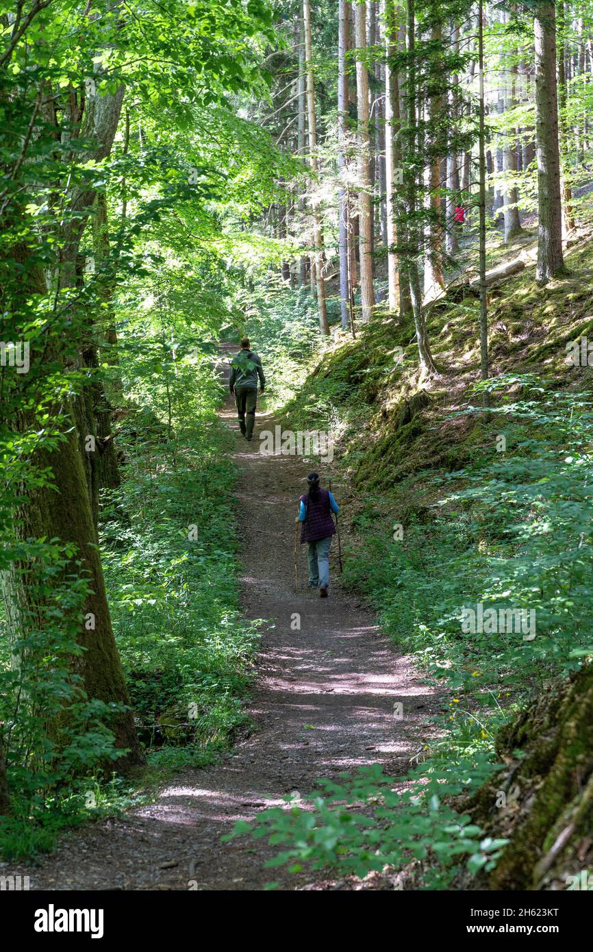 europe,germany,baden-wuerttemberg,schönbuch region,waldenbuch,family ...