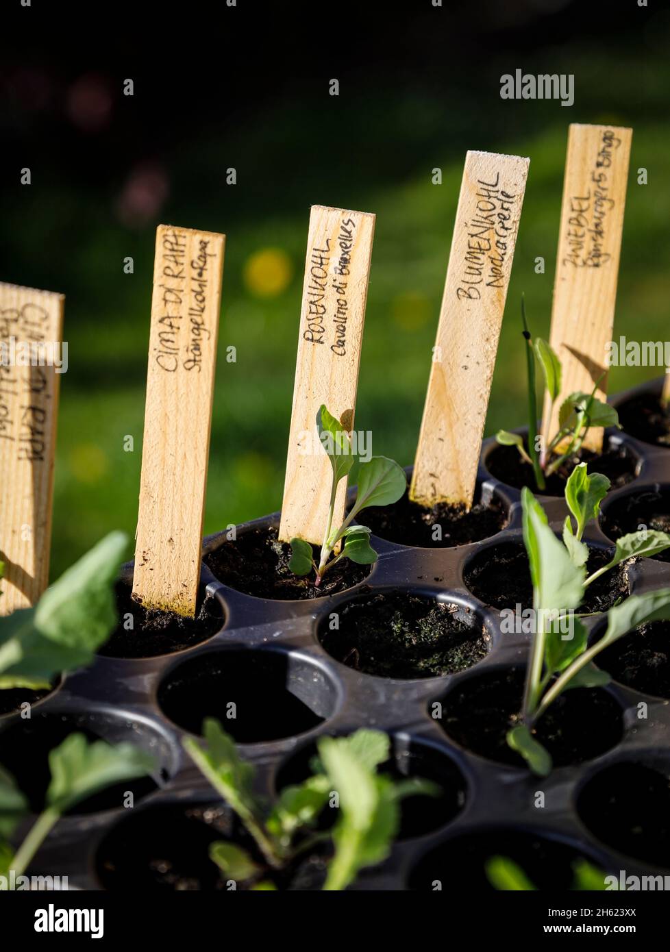 Labeling pots hi-res stock photography and images - Alamy