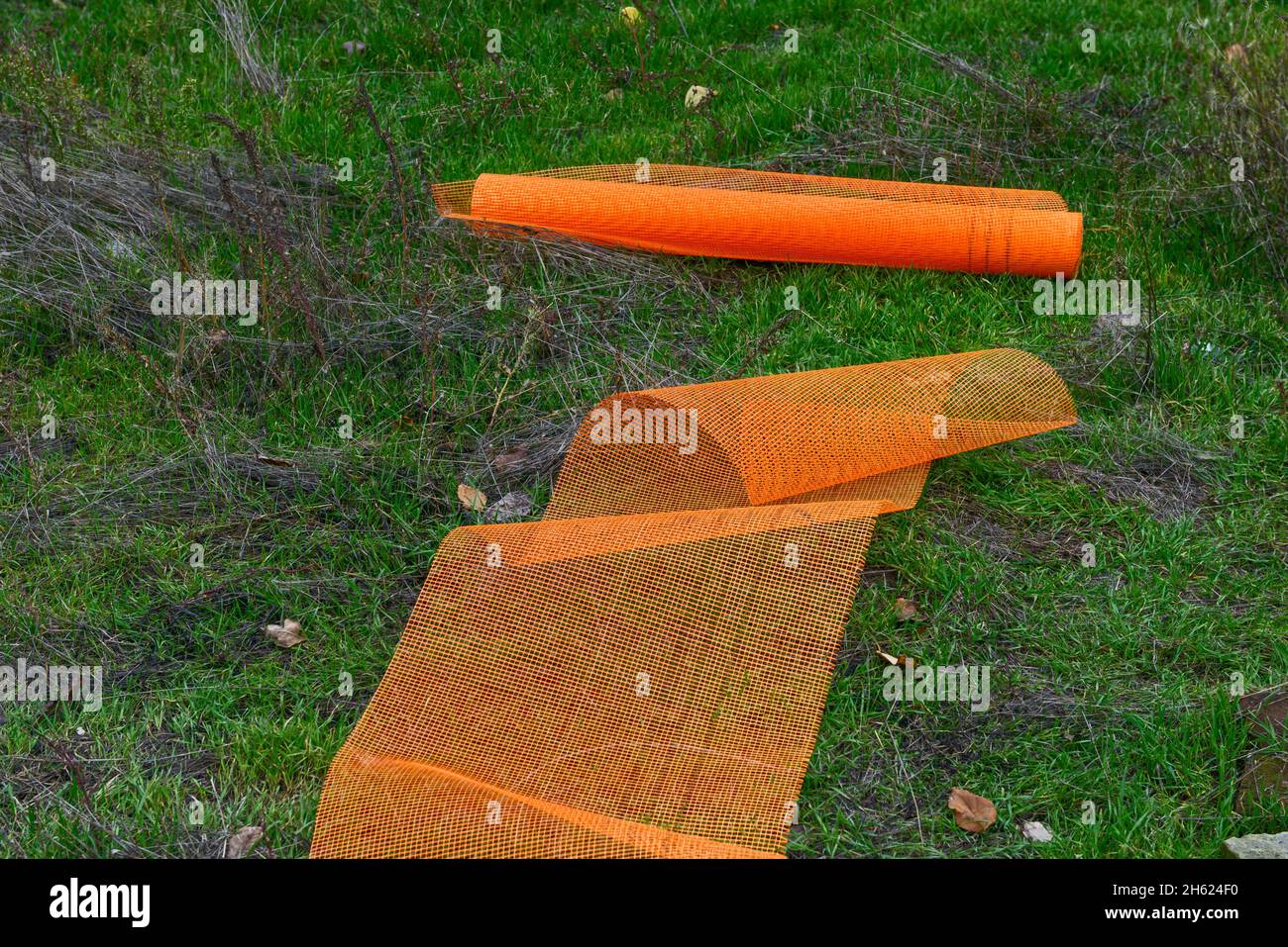 Fiber plastering mesh hi-res stock photography and images - Alamy