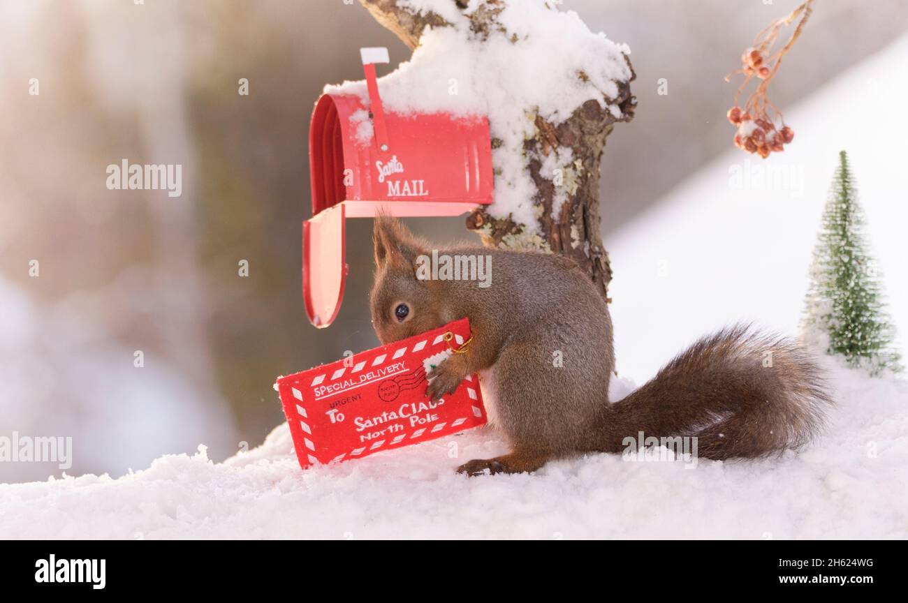 Postman holding a letter hi-res stock photography and images - Alamy