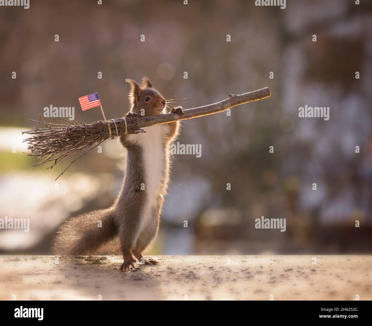 Flag broom hi-res stock photography and images - Alamy