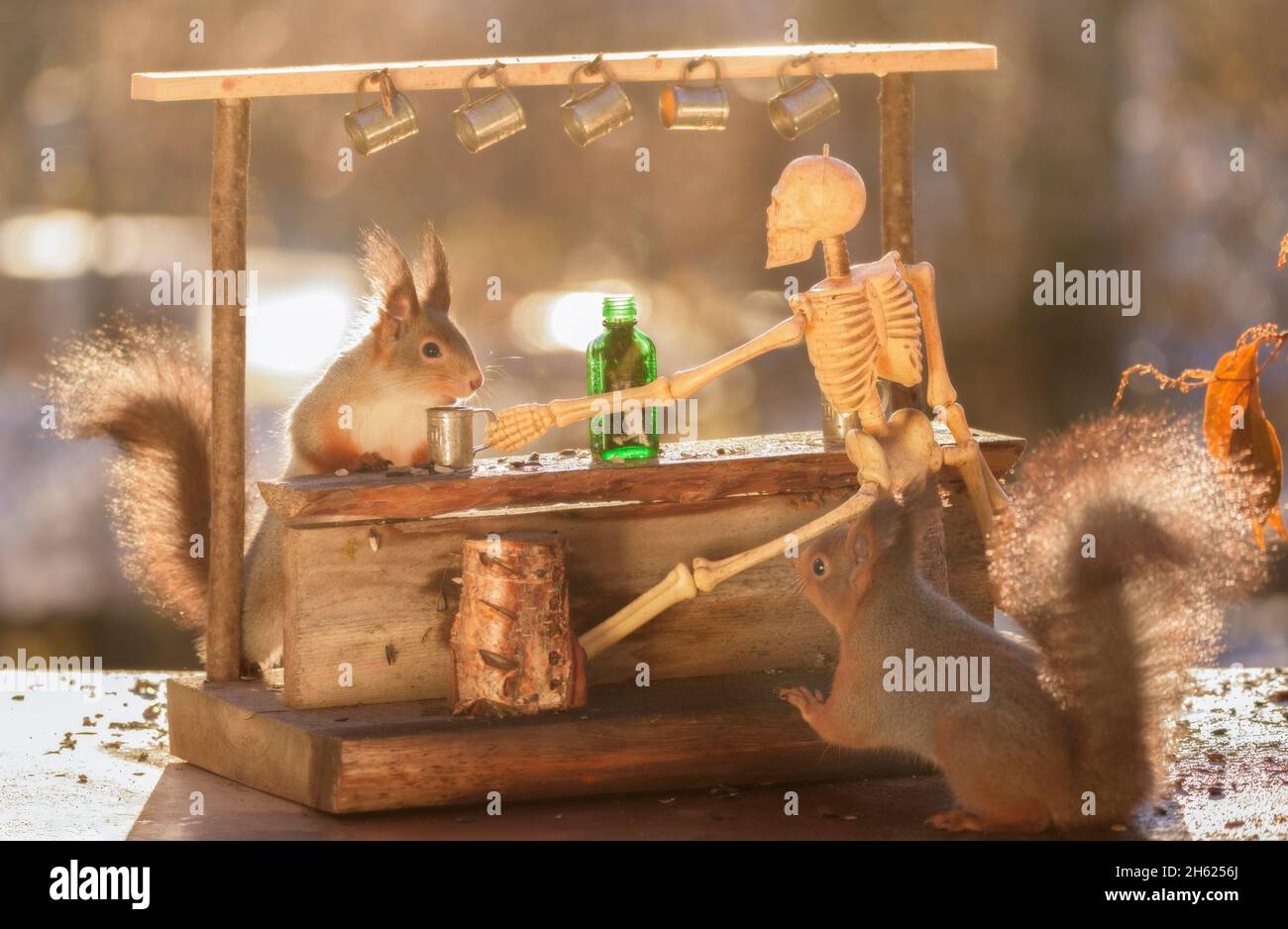 Skeleton bar hi-res stock photography and images - Alamy