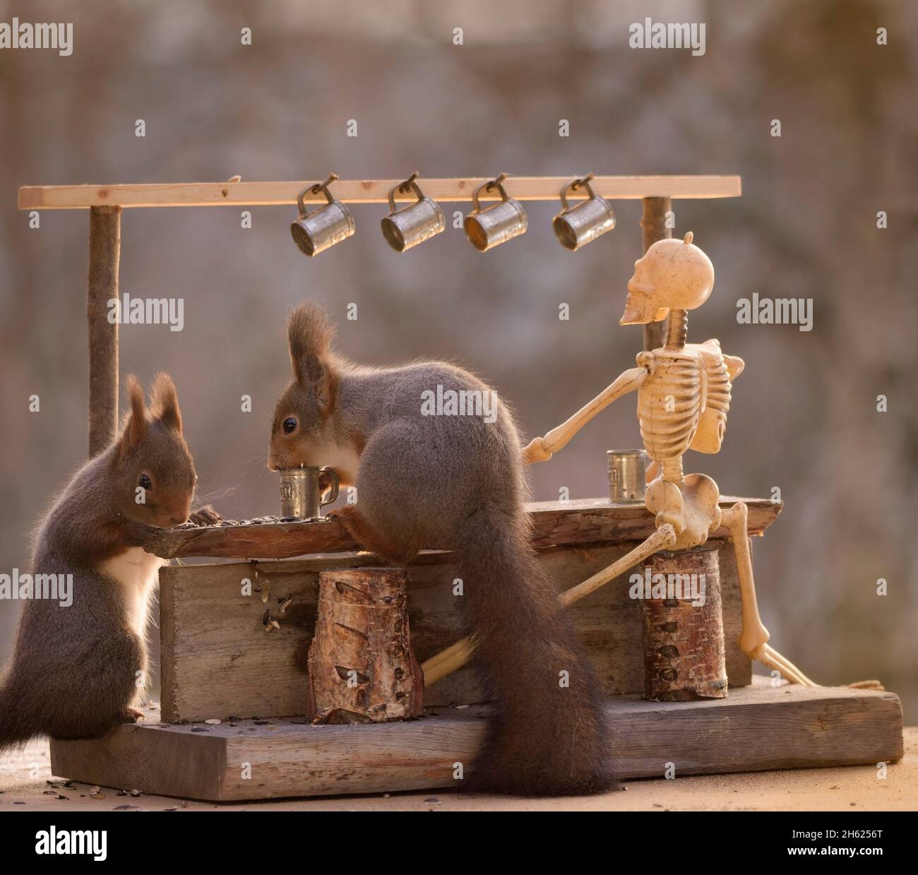 Skeleton bar hi-res stock photography and images - Alamy