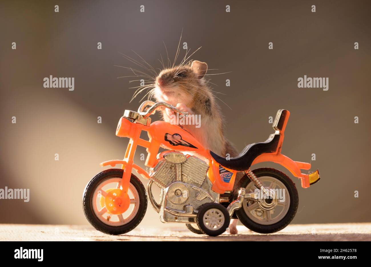 Holding motor hi-res stock photography and images - Alamy