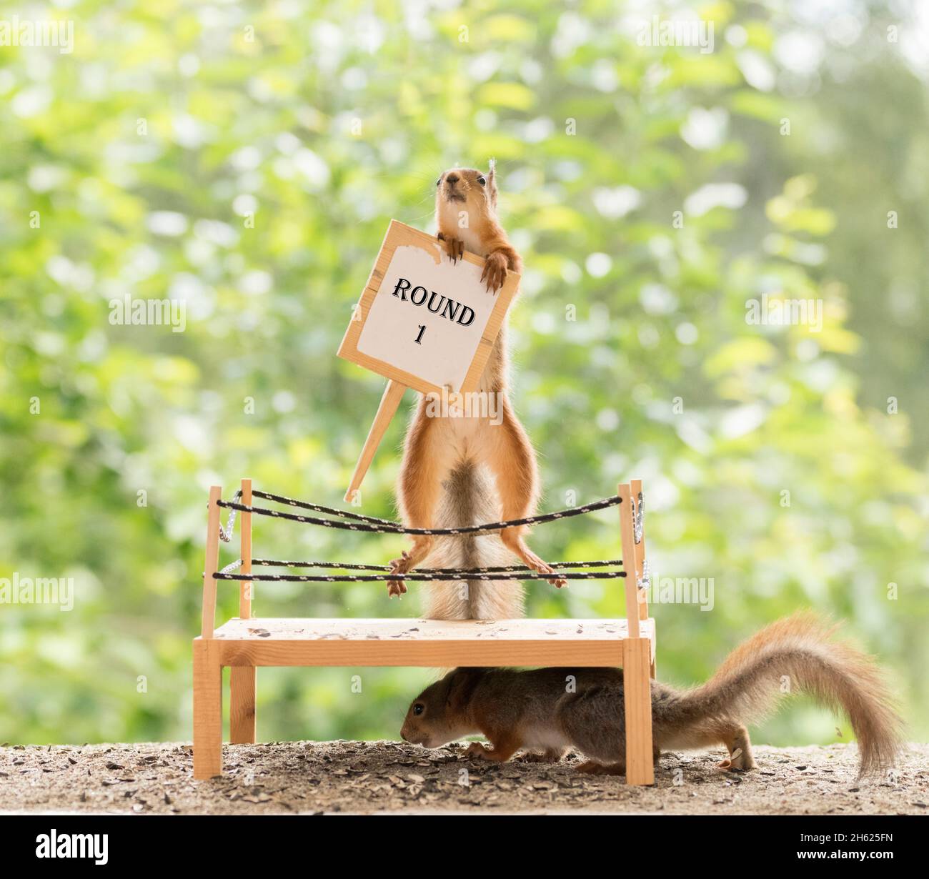 First in the fight hi-res stock photography and images - Alamy