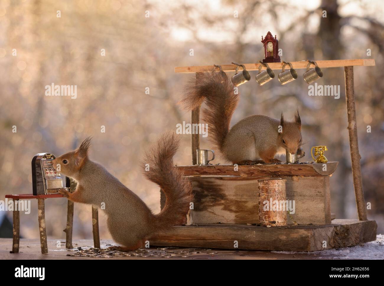 Bar Bet High Resolution Stock Photography and Images - Alamy