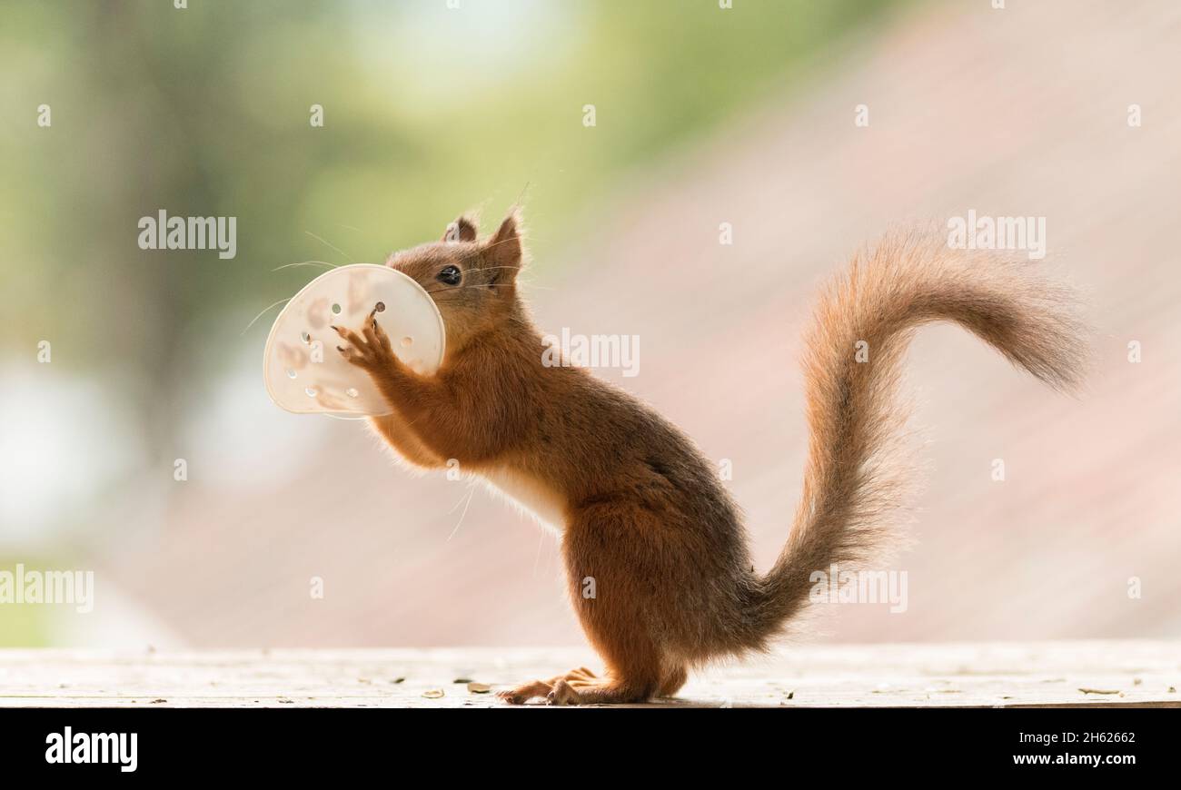 Holding the mask hi-res stock photography and images - Alamy