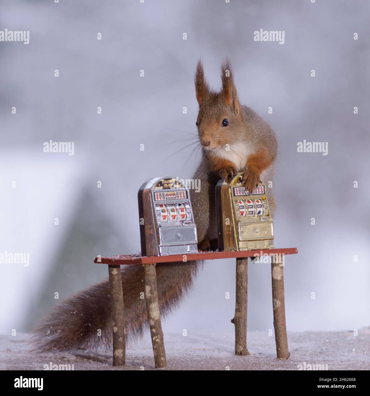 Holding machine hi-res stock photography and images - Alamy