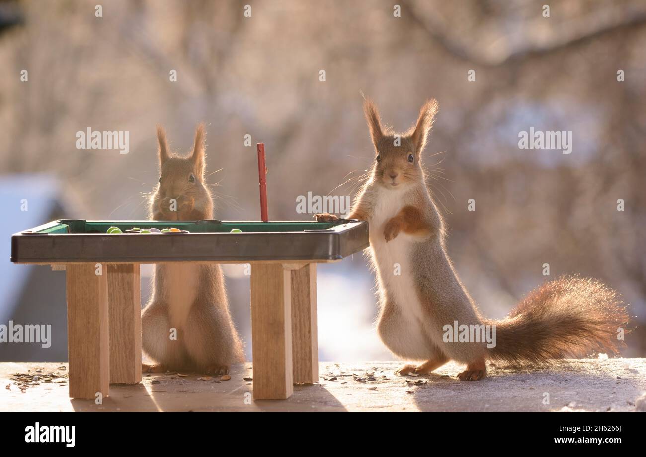 Table of pool hi-res stock photography and images - Alamy