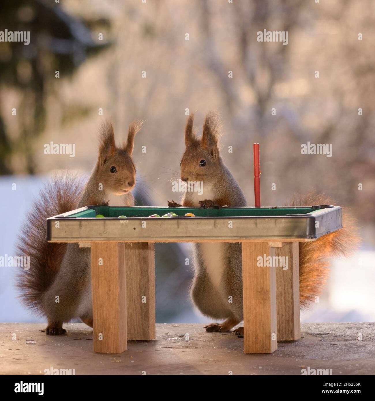 Pub bar pool table hi-res stock photography and images - Alamy