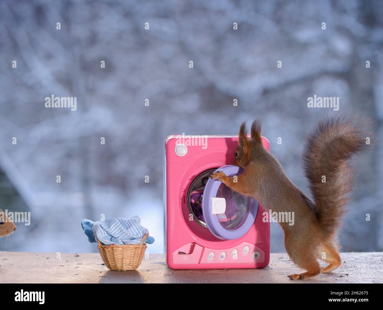Couple washing machine hi-res stock photography and images - Alamy