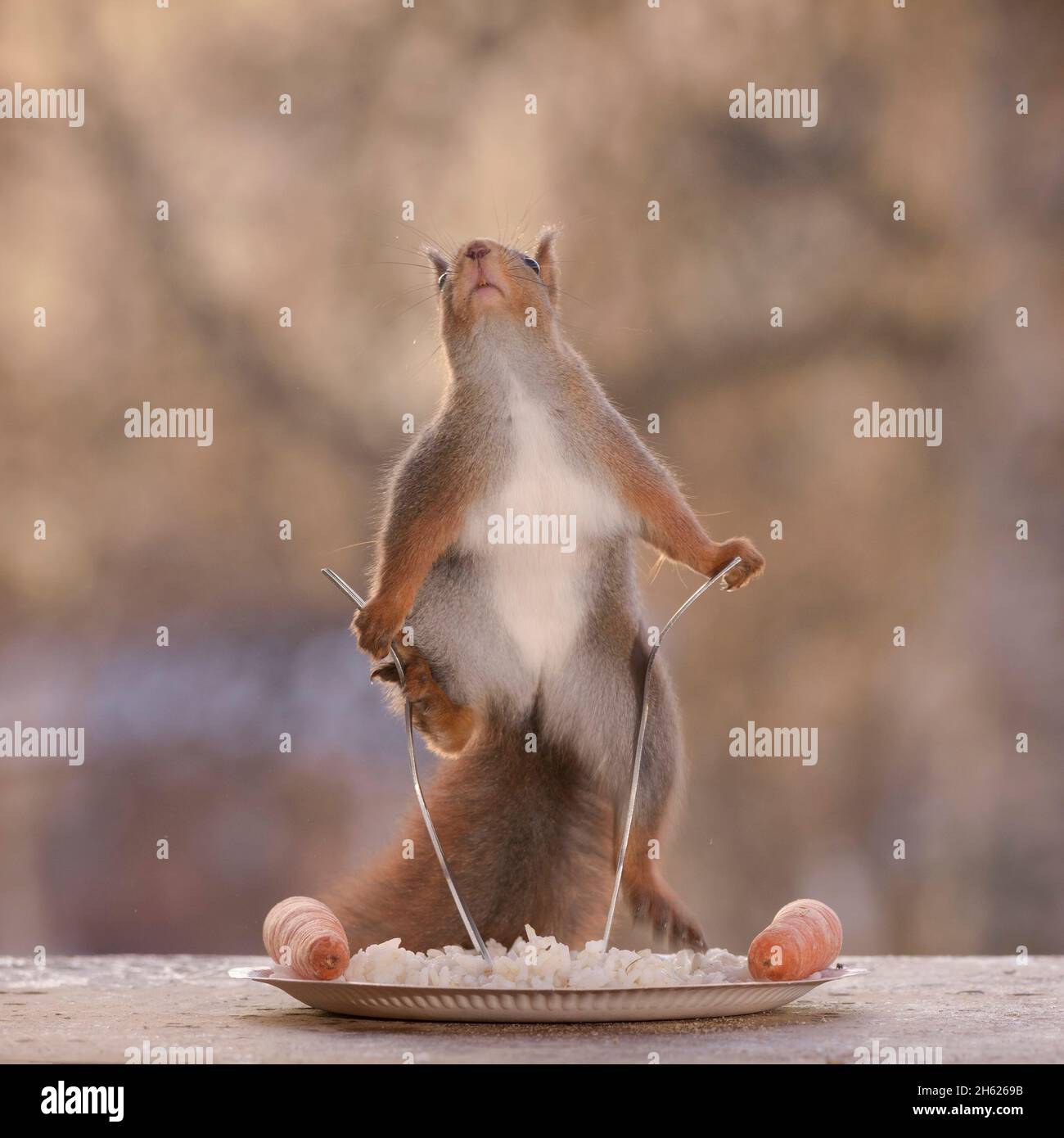 Two forks hi-res stock photography and images - Alamy