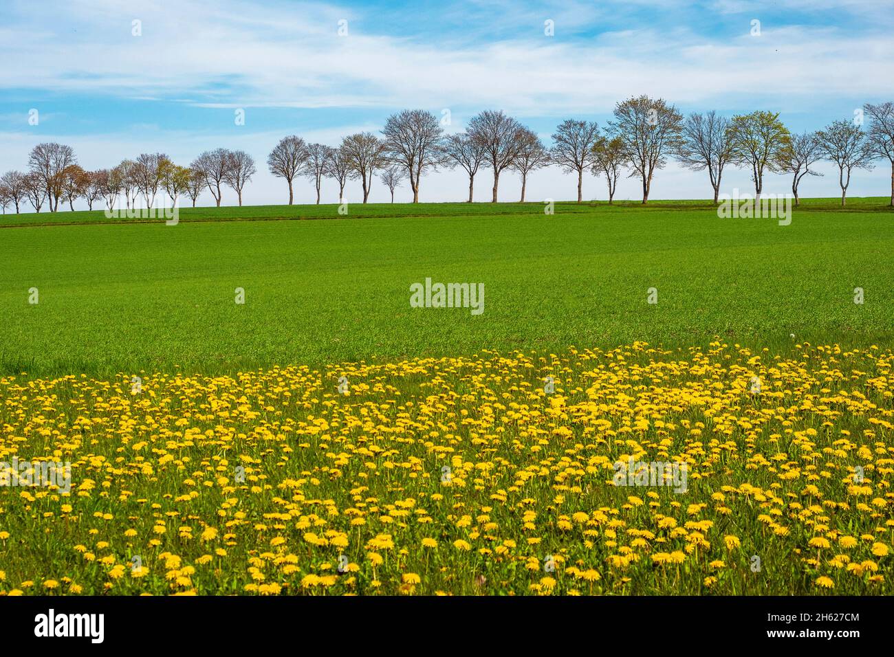 Eifel germany spring hi-res stock photography and images - Alamy