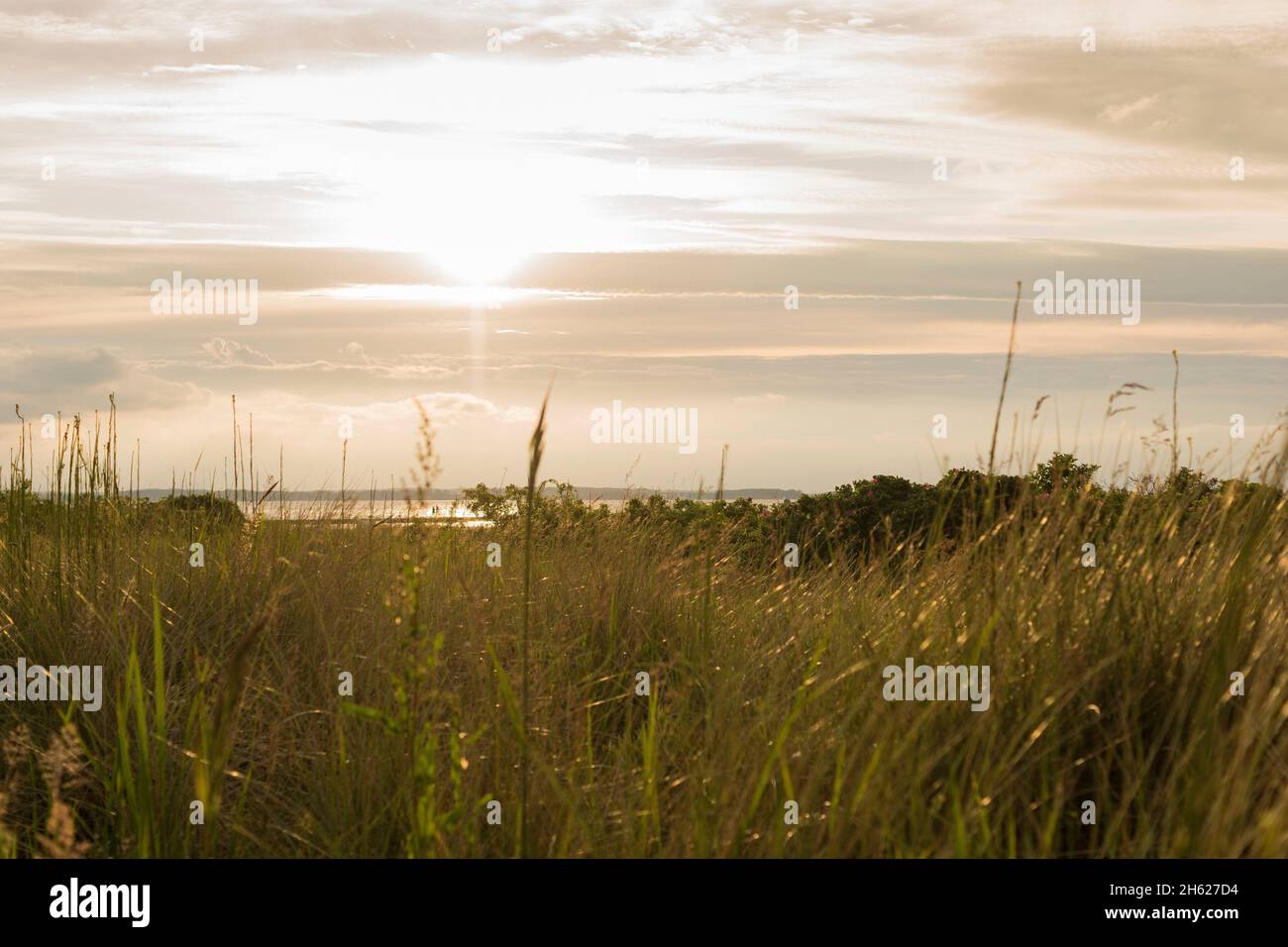 summer mood at the bathing beach of stein,germany Stock Photo - Alamy