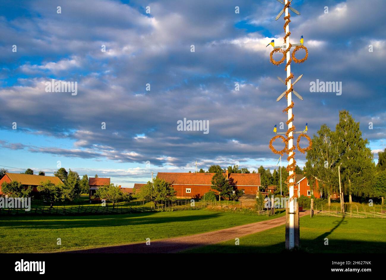 Mora tree hi-res stock photography and images - Alamy