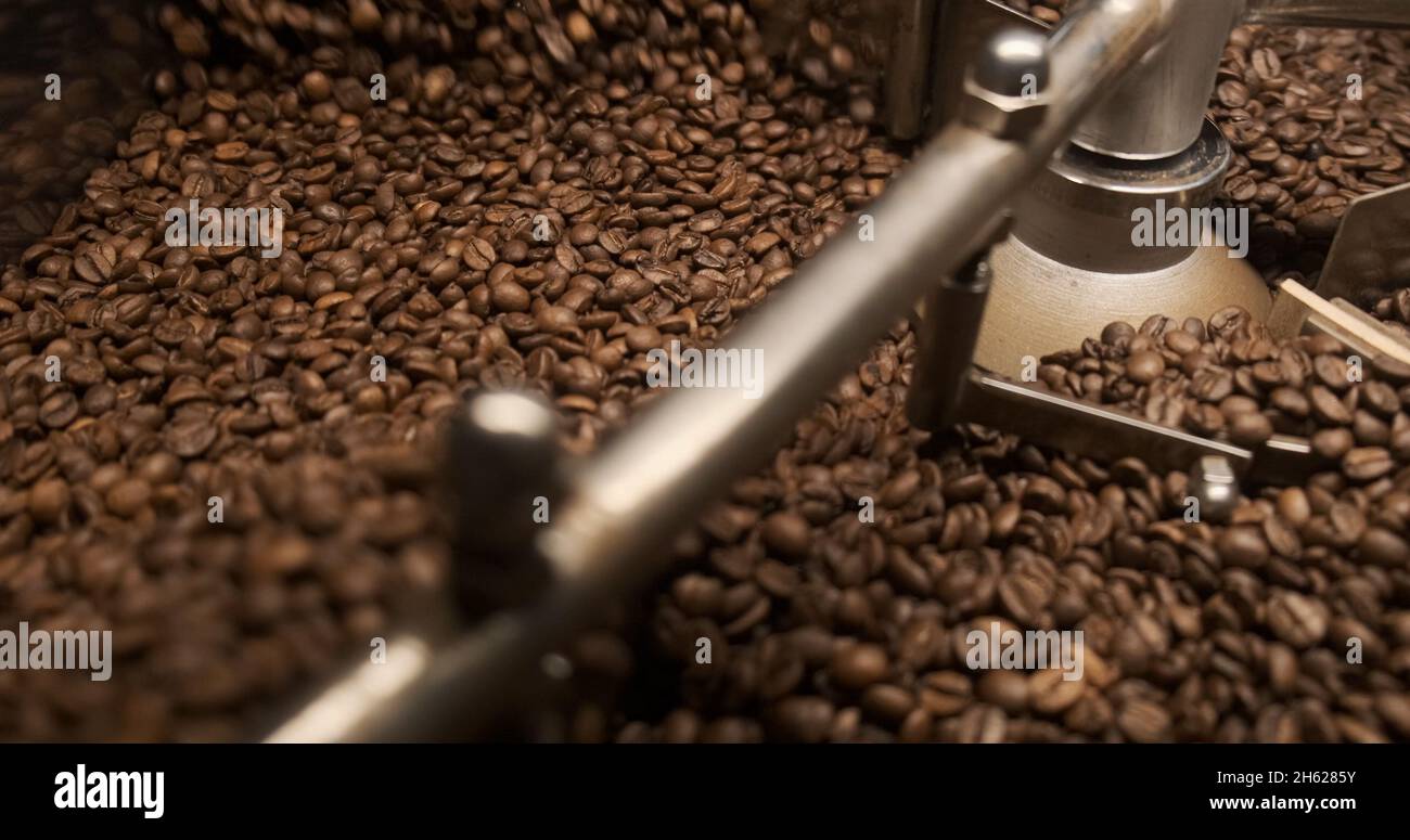 Fresh Coffee Beans. Freshly roasted 100% Arabica coffee beans falling ...