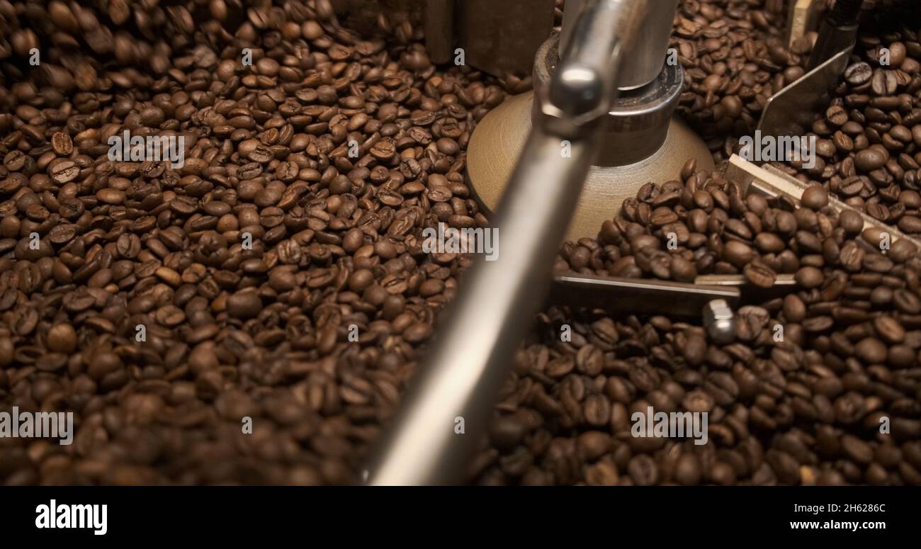 Fresh Coffee Beans. Freshly roasted 100% Arabica coffee beans falling ...