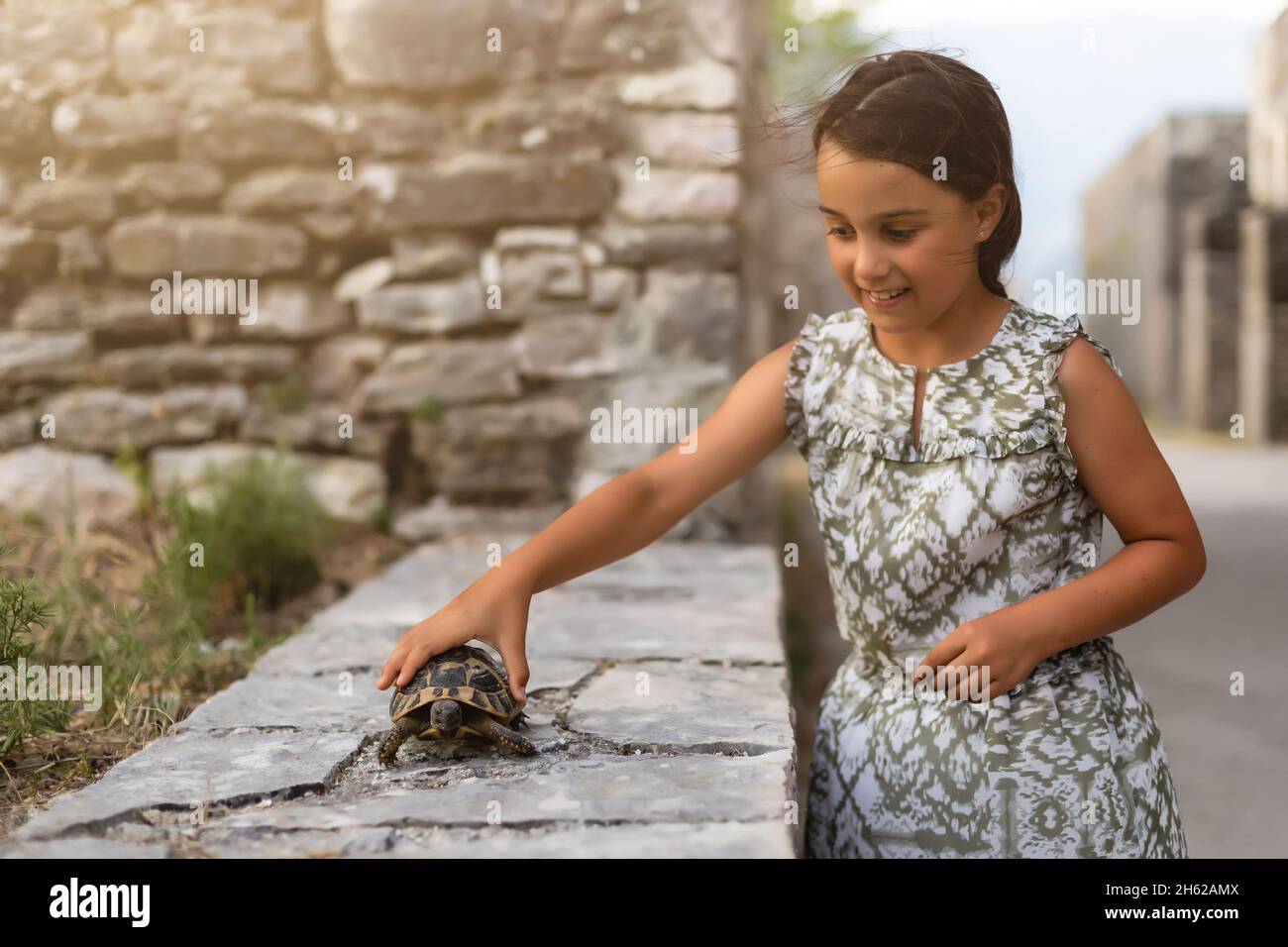 Little girl with a turtle on her hands Stock Photo - Alamy