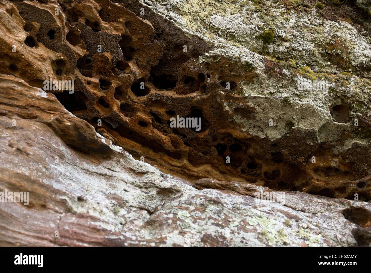 Weathered rock formation with holes Stock Photo - Alamy
