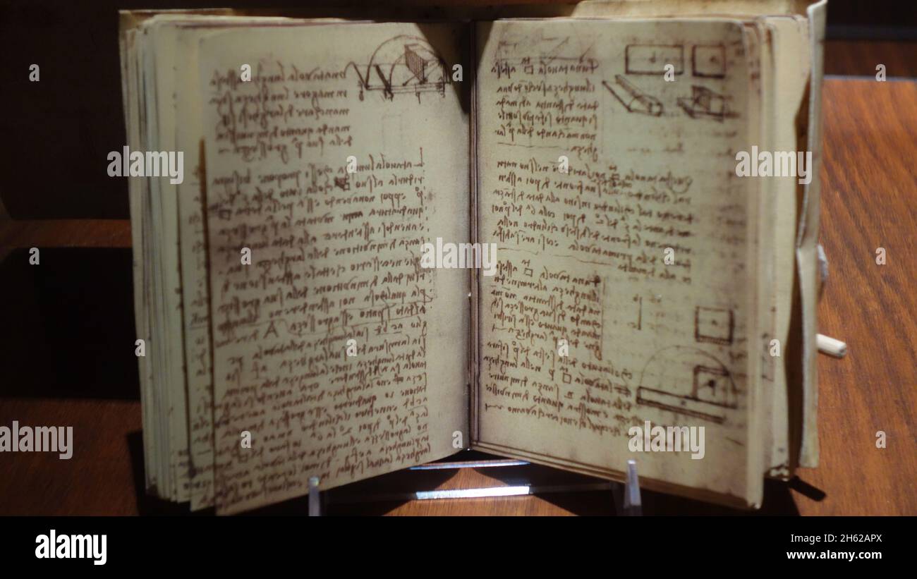 Caption taken from the exhibition Leonardo Da Vinci 500 years. Codex ...