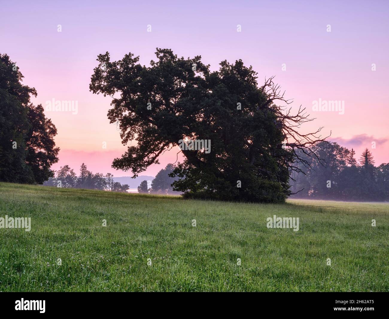 in bernrieder park,bernried am starnberger see Stock Photo - Alamy