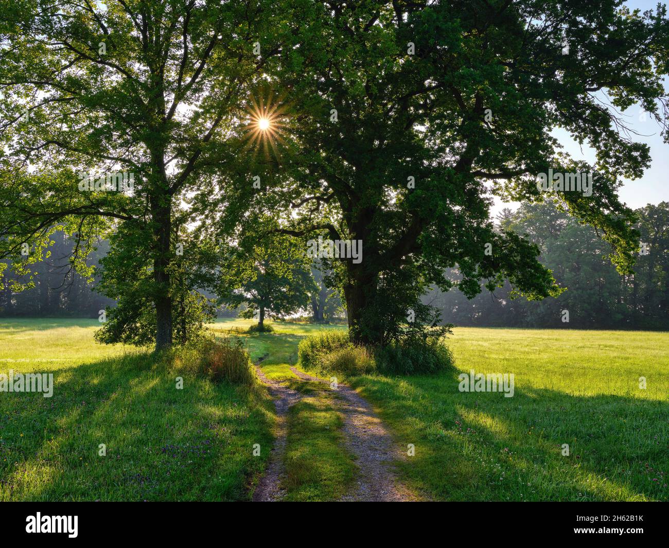 in bernrieder park,bernried am starnberger see Stock Photo - Alamy