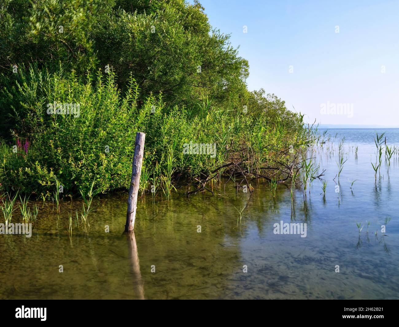 in bernrieder park,bernried am starnberger see Stock Photo - Alamy