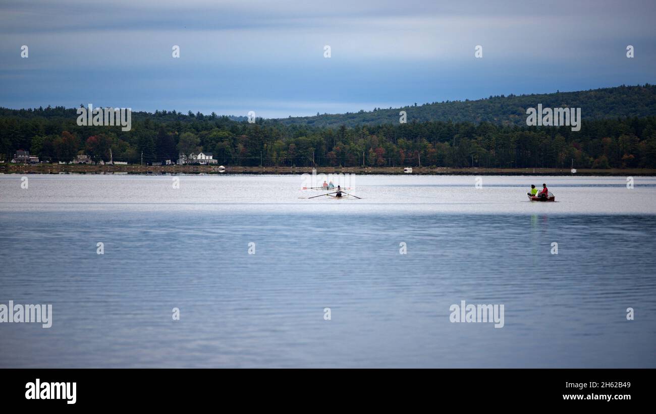 Group of people kayaking in a lake with beautiful tree forests in the ...