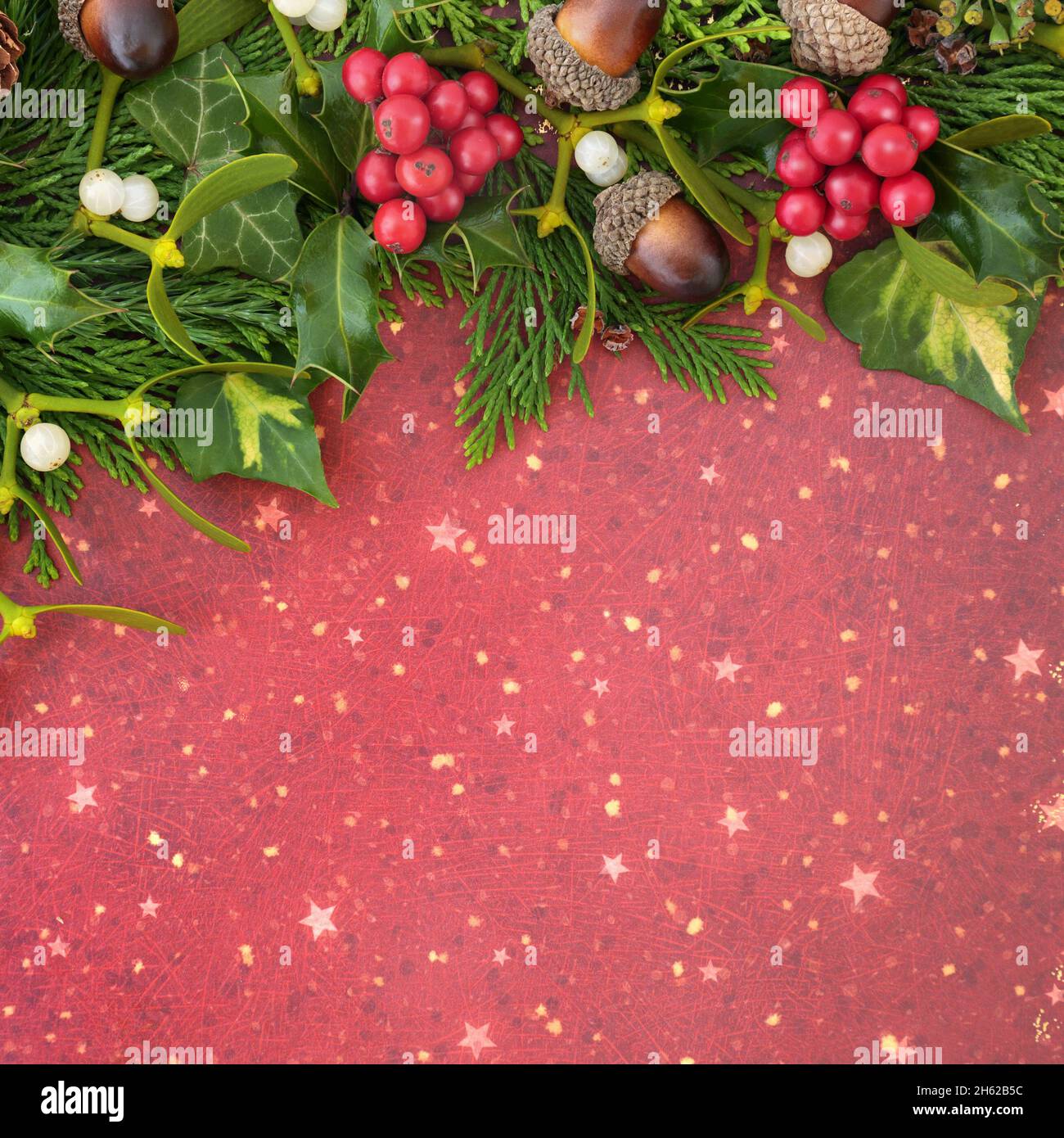 Winter eco friendly background design with English holly, ivy ...