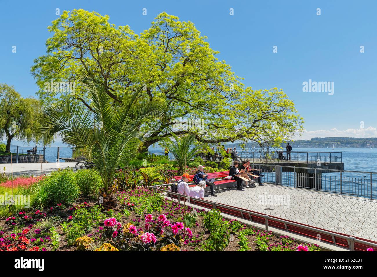 lake promenade in spring,ueberlingen,lake constance,baden-wuerttemberg ...