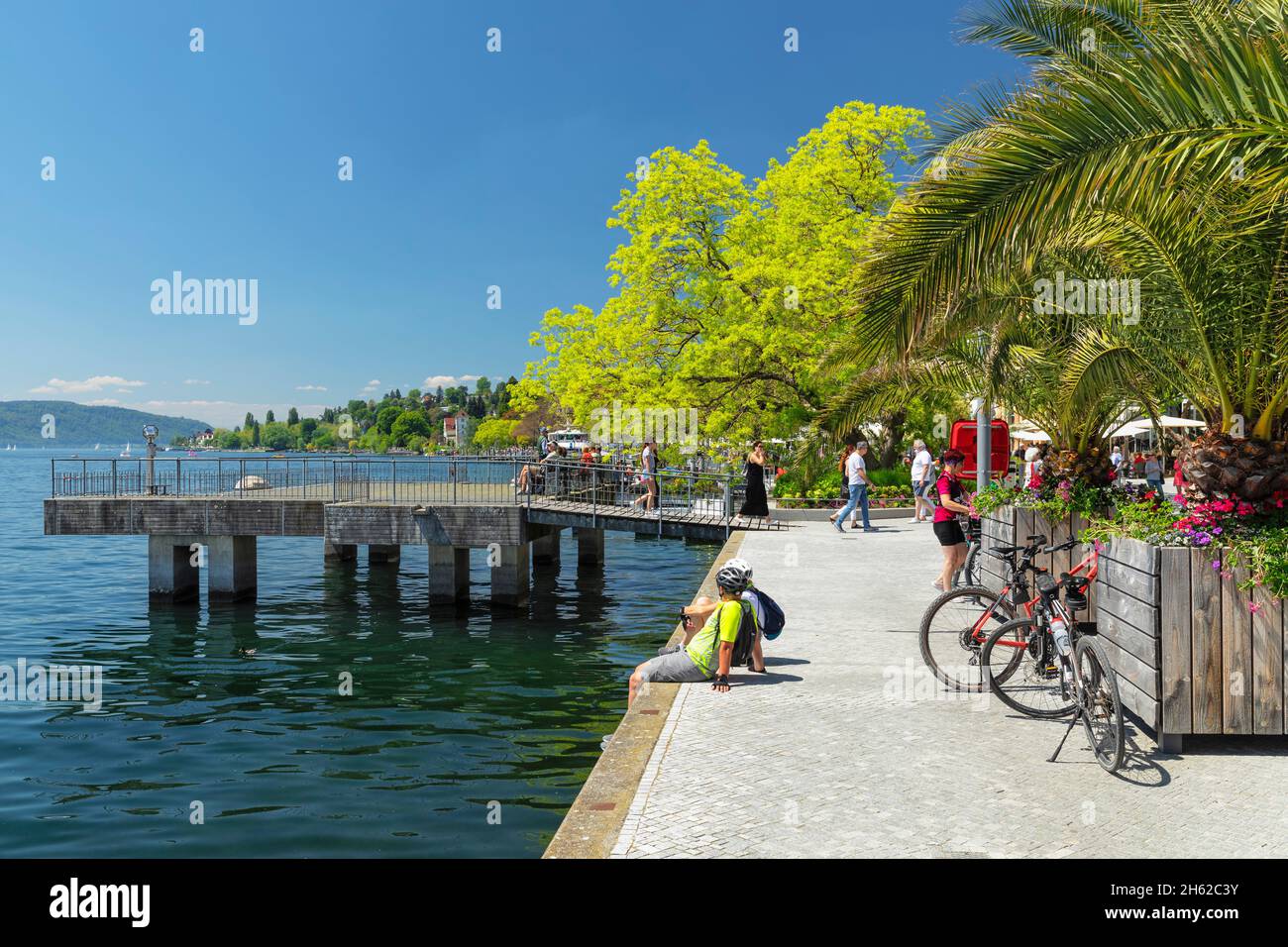 lake promenade in spring,ueberlingen,lake constance,baden-wuerttemberg ...