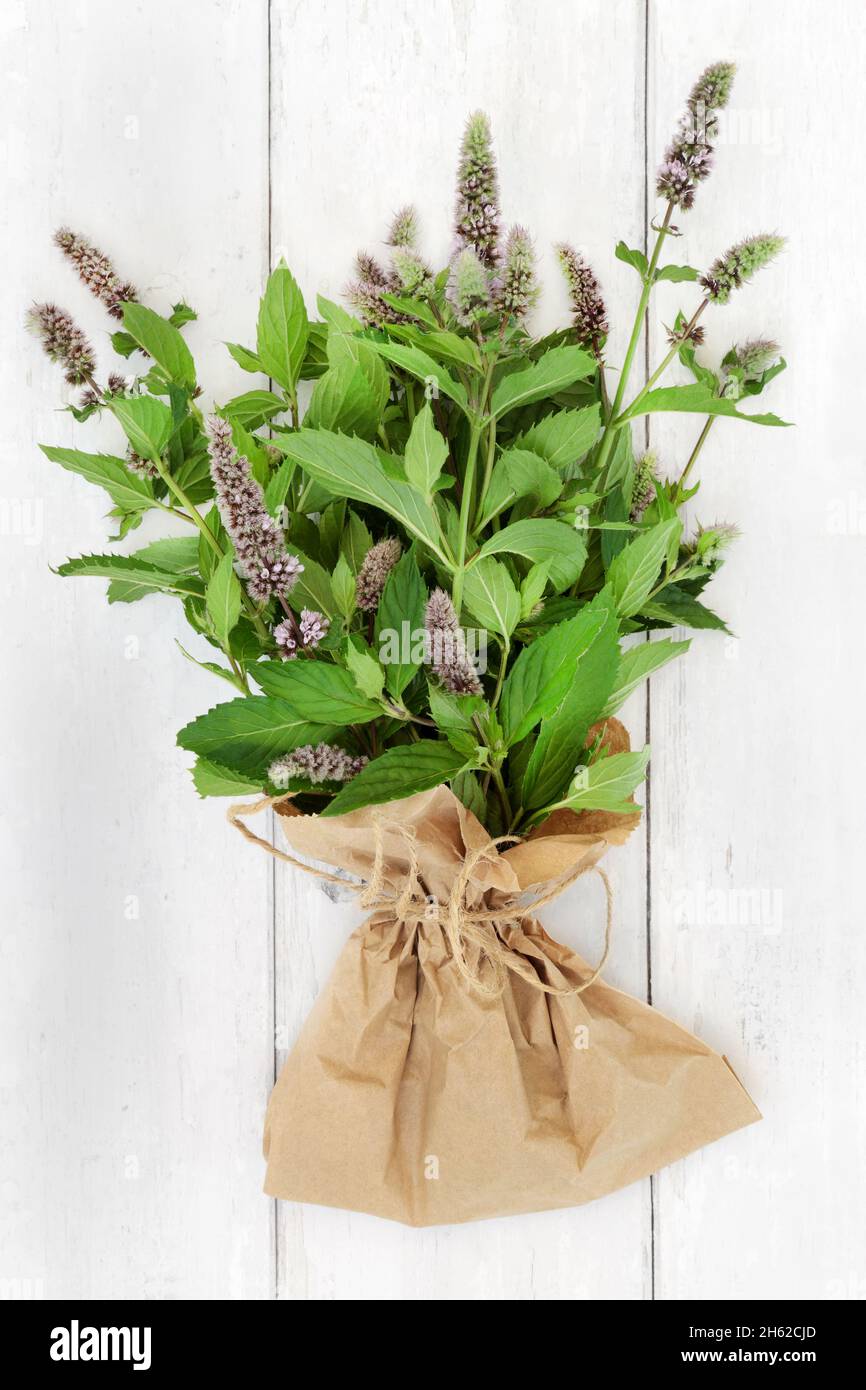 Medicine to treat ibs hi-res stock photography and images - Alamy