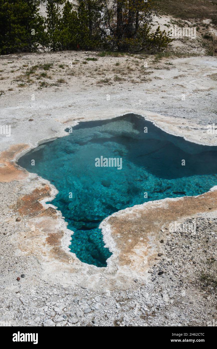 The Blue Star Spring near the Old Faithful Geyser Stock Photo - Alamy