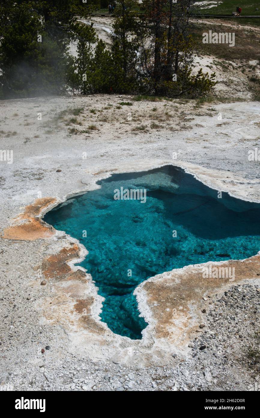 Blue star spring hi-res stock photography and images - Alamy