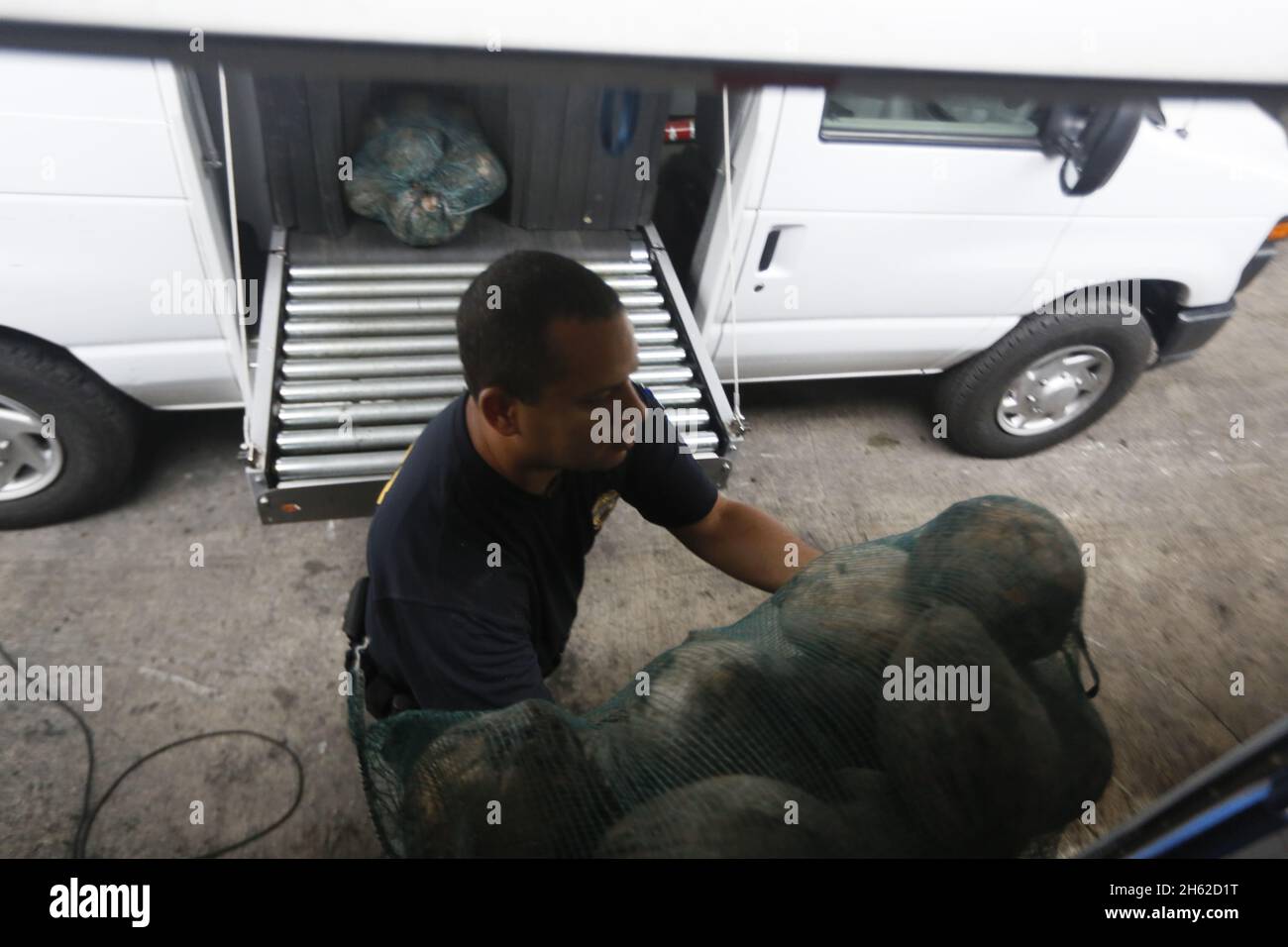 Inspecting coconuts hi-res stock photography and images - Alamy