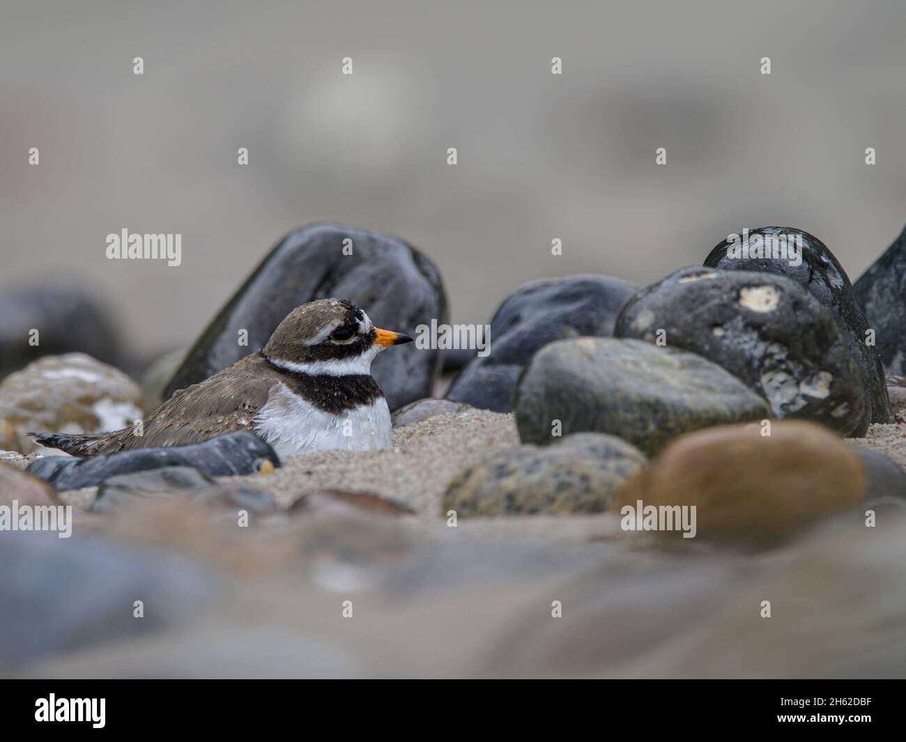 Brooding sea hi-res stock photography and images - Alamy