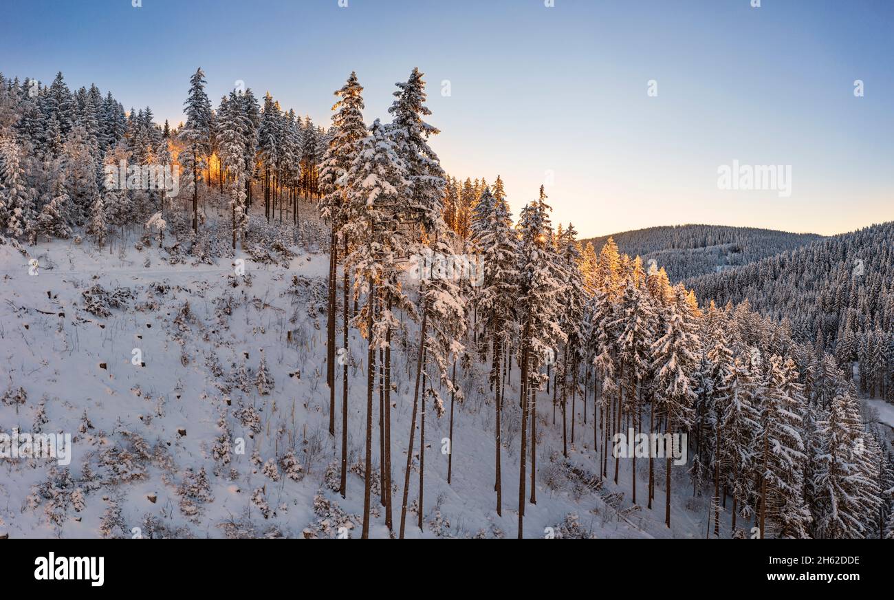 germany,thuringia,ilmenau,gehren,forest,slope,snow,rennsteig ...