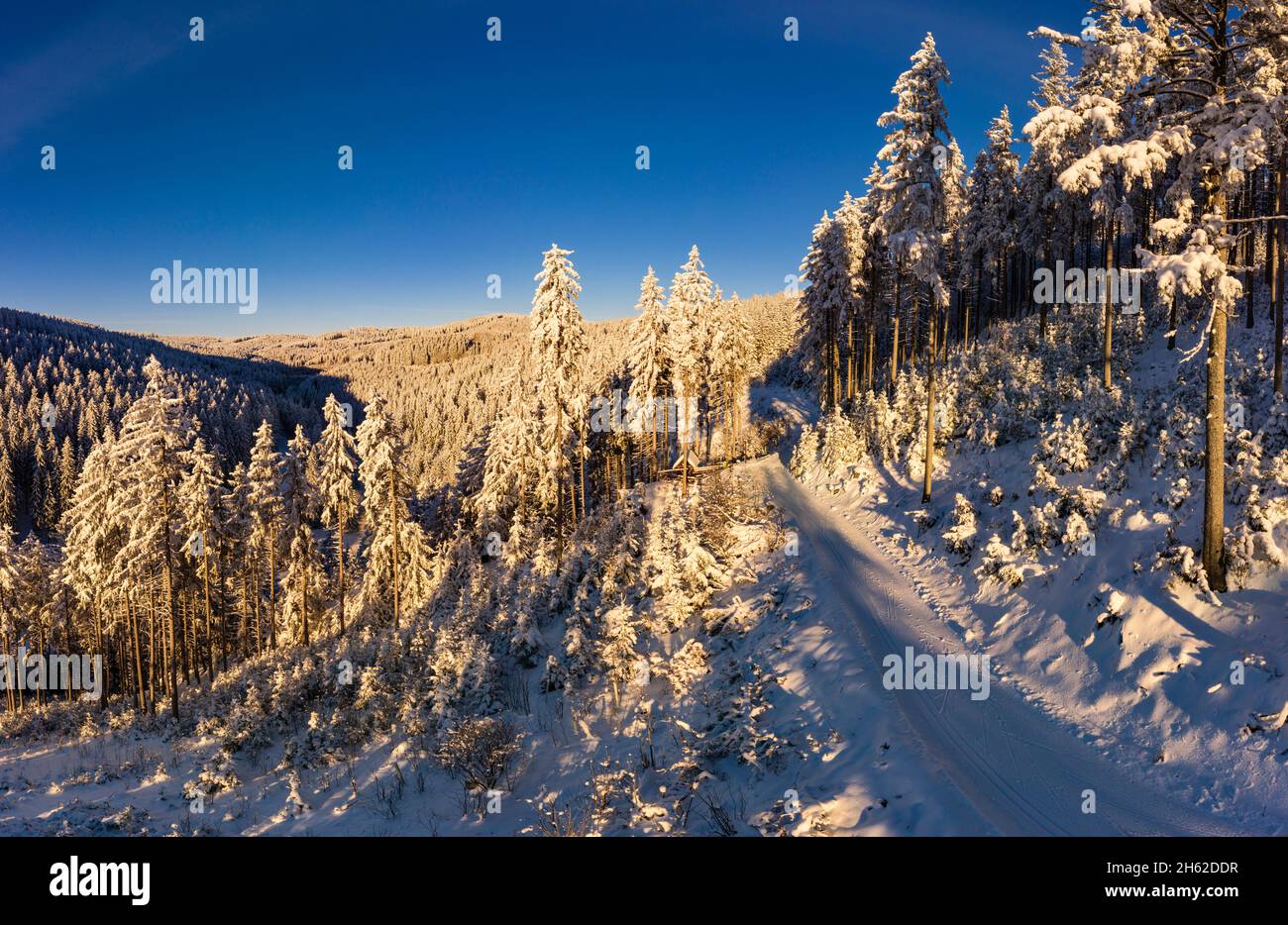 germany,thuringia,ilmenau,gehren,way,forest,slope,snow,rennsteig ...