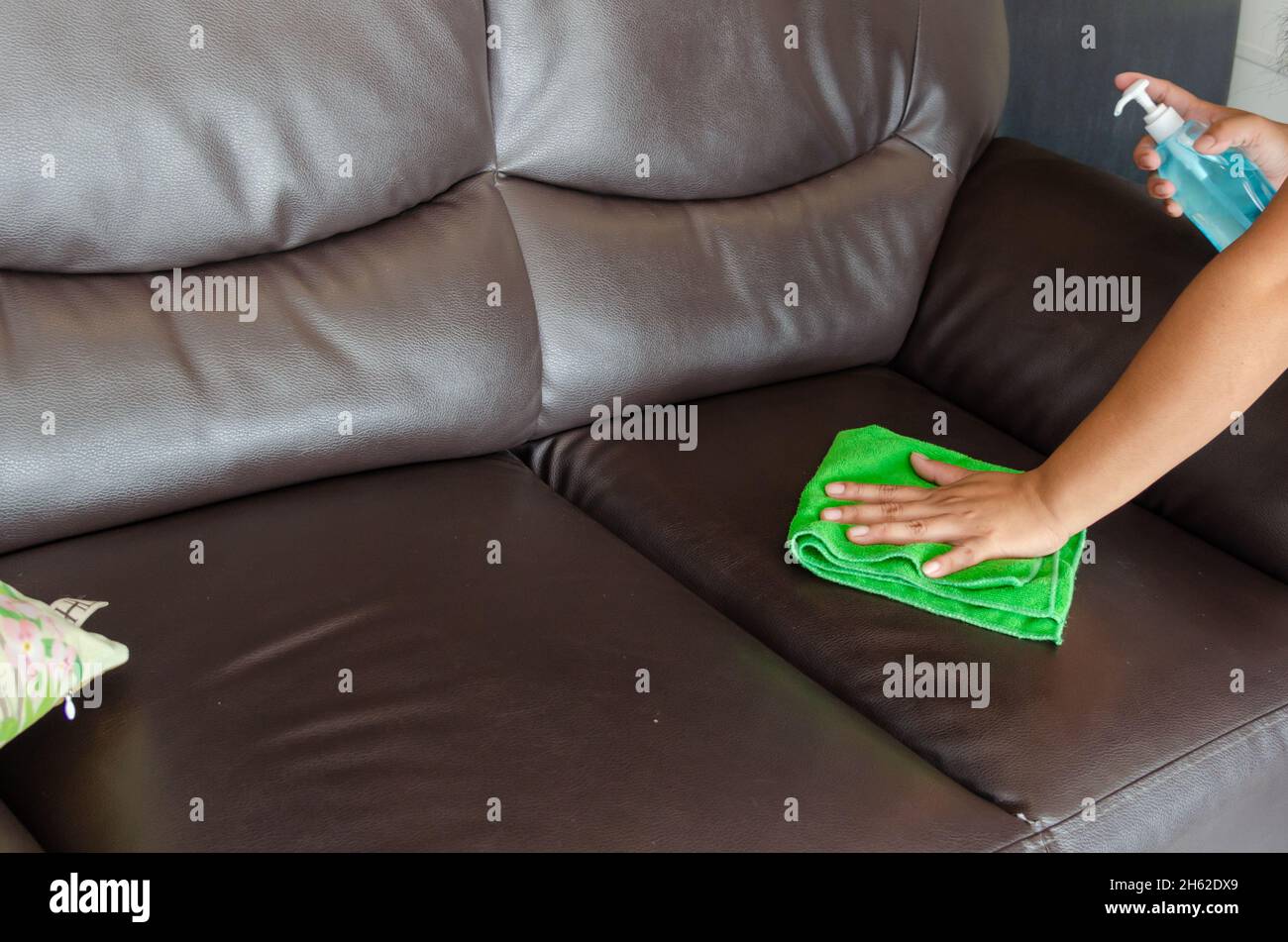 Green cloth wipes brown sofa with alcohol Stock Photo - Alamy