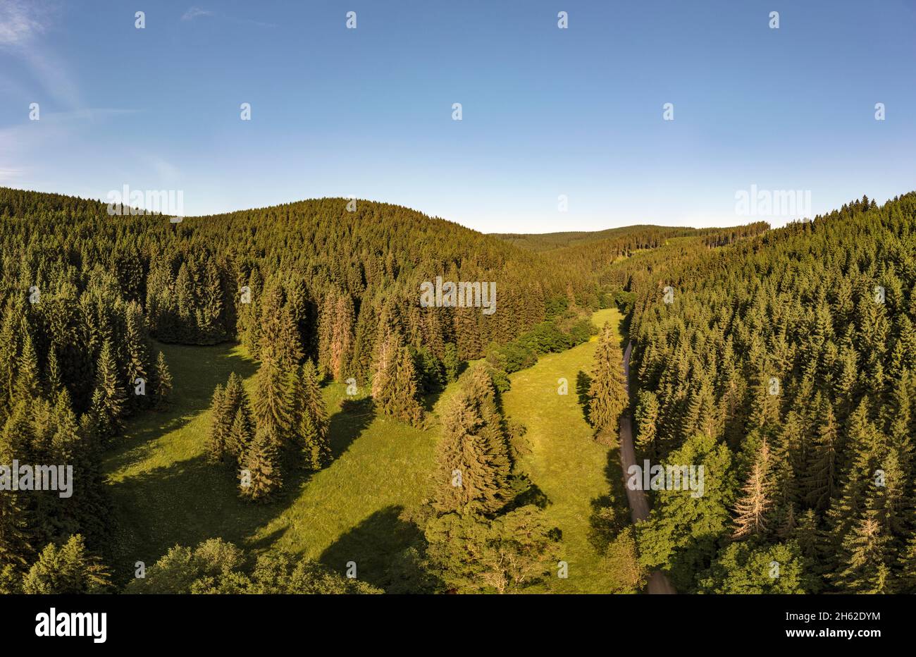 germany,thuringia,ilmenau,gehren,forest,mountains,path,rennsteig ...
