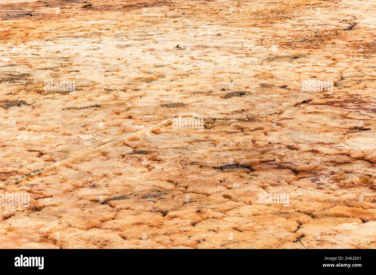 Cracked clay ground hi-res stock photography and images - Alamy