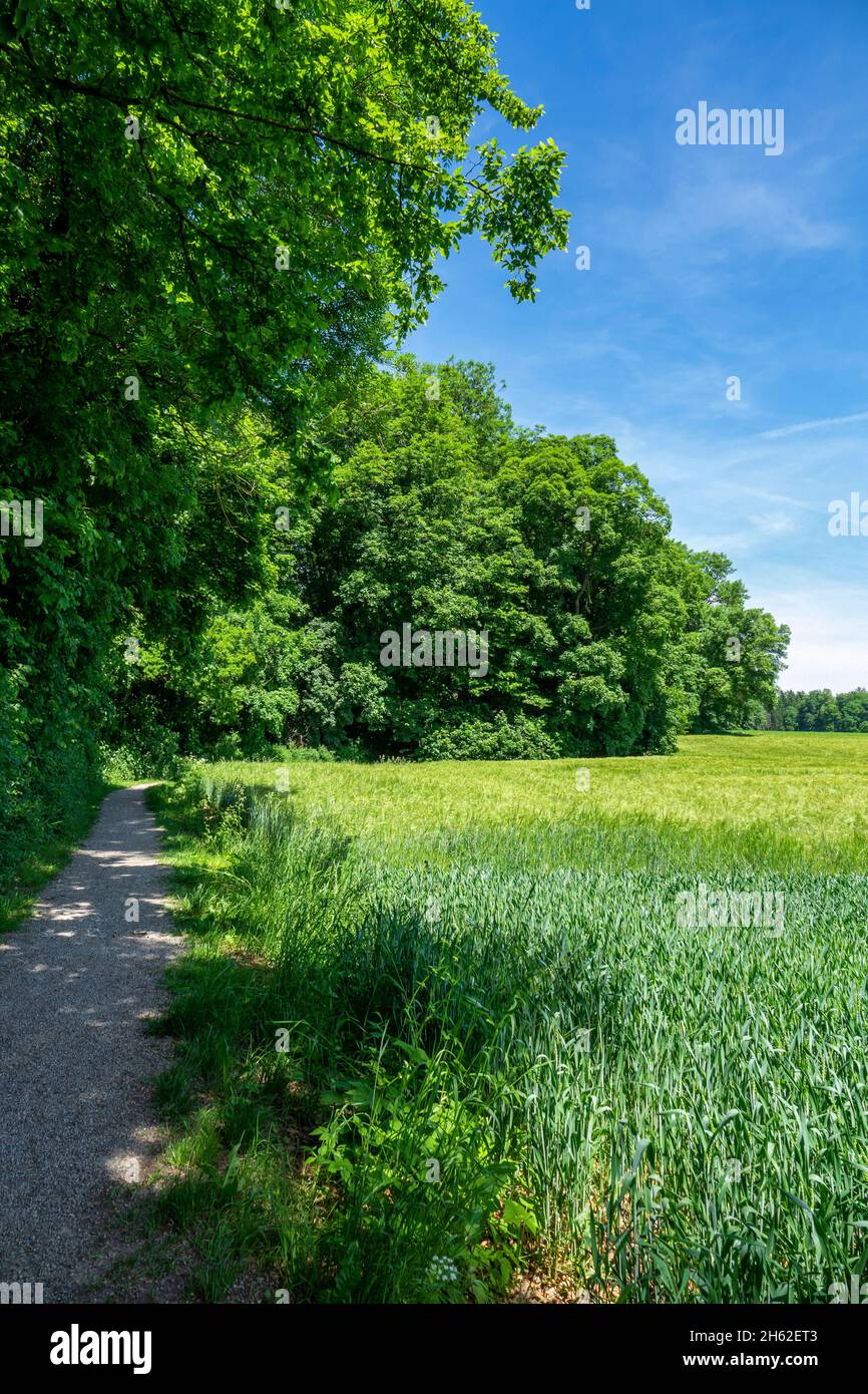 illertisser bee path. the path begins at the bavarian bee museum in the ...